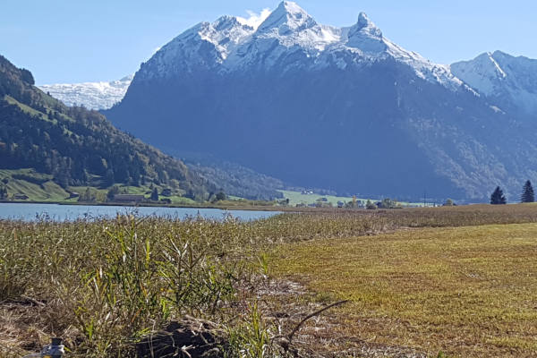 Sommer-Impressionen – Verkehrsverein Euthal